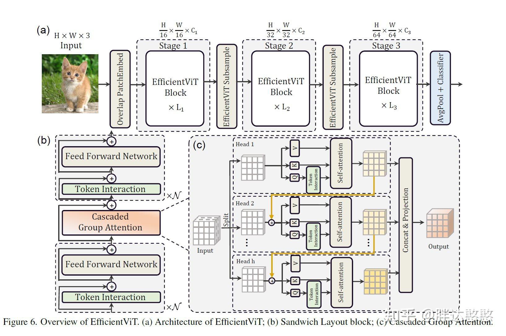 [ViT轻量化论文2]EfficientViT: Memory Efficient Vision Transformer with Cascaded Group Attention - 知乎