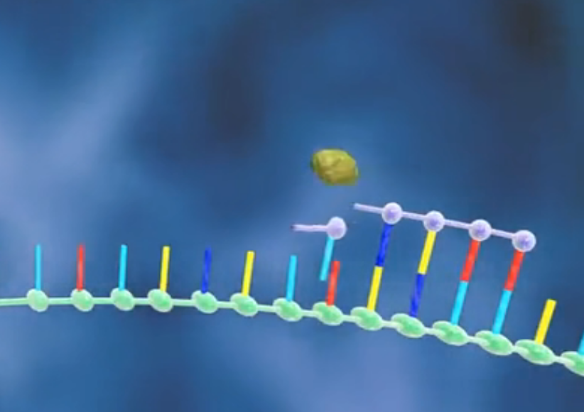 亲，您用的反转录酶「热稳定性」好不好？ - 知乎