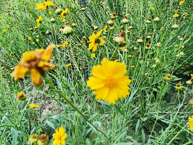 永远不要太操心孩子，父母所有的担心与为他好都是徒劳，不如远离 - 知乎