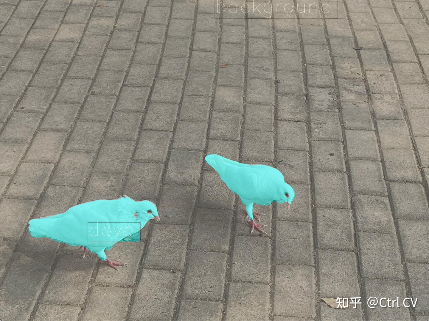 mmsegmentation训练自己的数据集 - 知乎