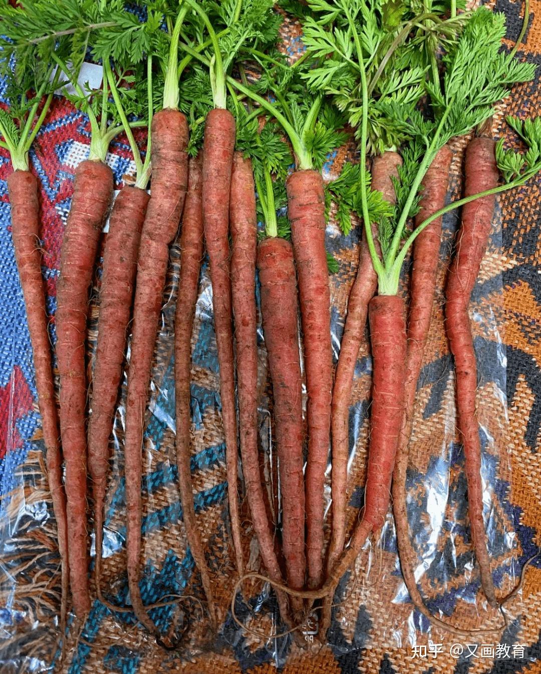 日本画家——栗原由子Yuko Kurihara作品欣赏 - 知乎