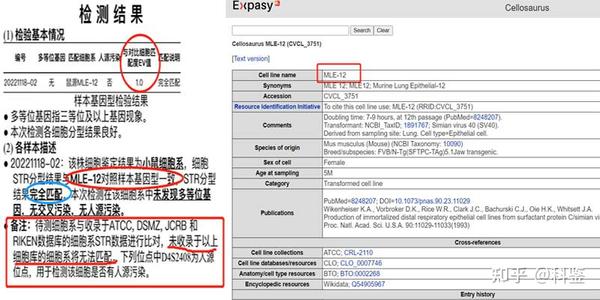 小鼠细胞STR鉴定的检测问题及误区 - 知乎