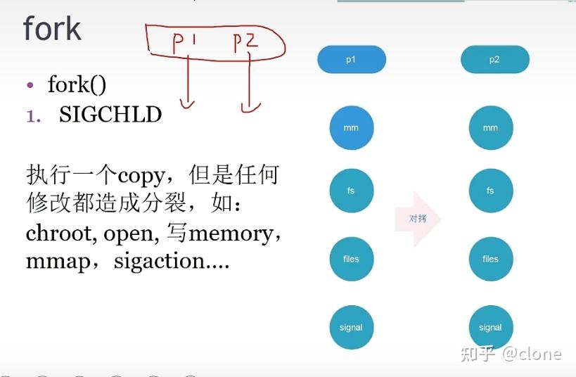 fork、vfork、clone - 知乎