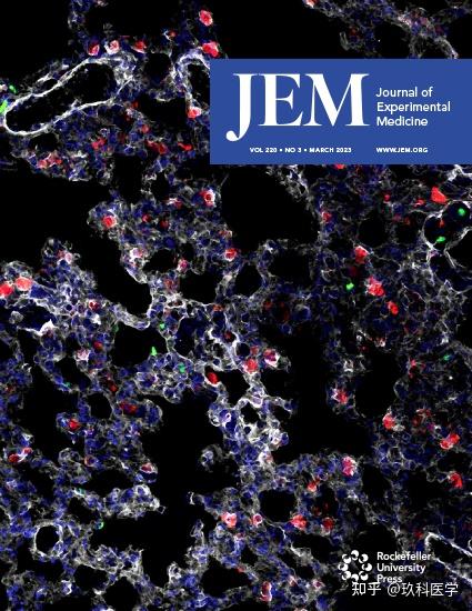 【医学：研究与实验】最新更新影响因子10+的期刊，有稿可投 - 知乎