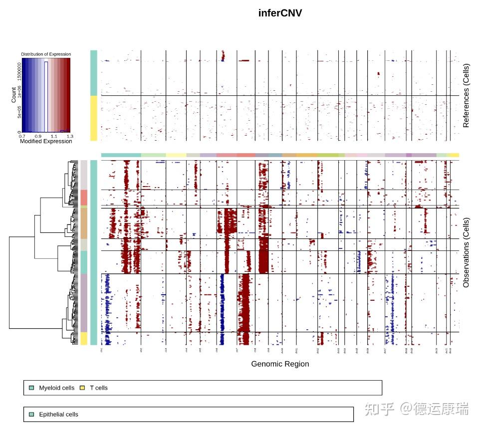 聚焦生信 | 肿瘤恶性细胞鉴定-inferCNV原理及应用全面教程-附代码 - 知乎