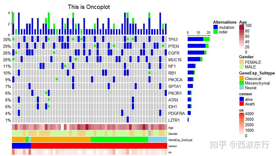 ComplexHeatmap|根据excel表绘制突变景观图（oncoplot） - 知乎