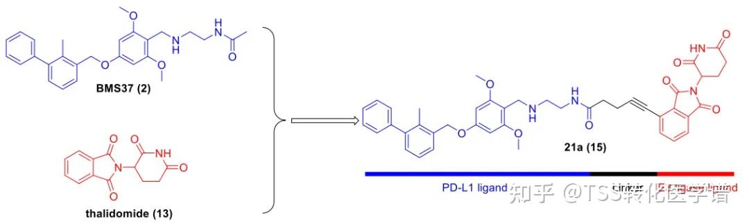 【JMC】免疫检查点PD-L1蛋白降解剂和调节剂研发现状 - 知乎