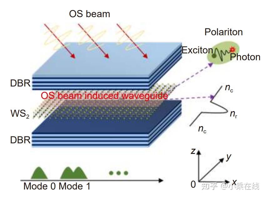 Exciton-polariton based WS2 polarization modulator controlled by optical Stark beam - 知乎