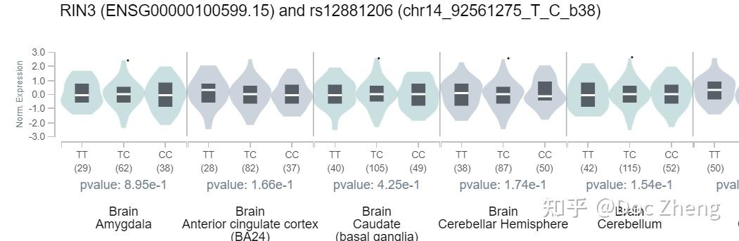 Query a eQTL in GTEx V8 for gene expression - 知乎