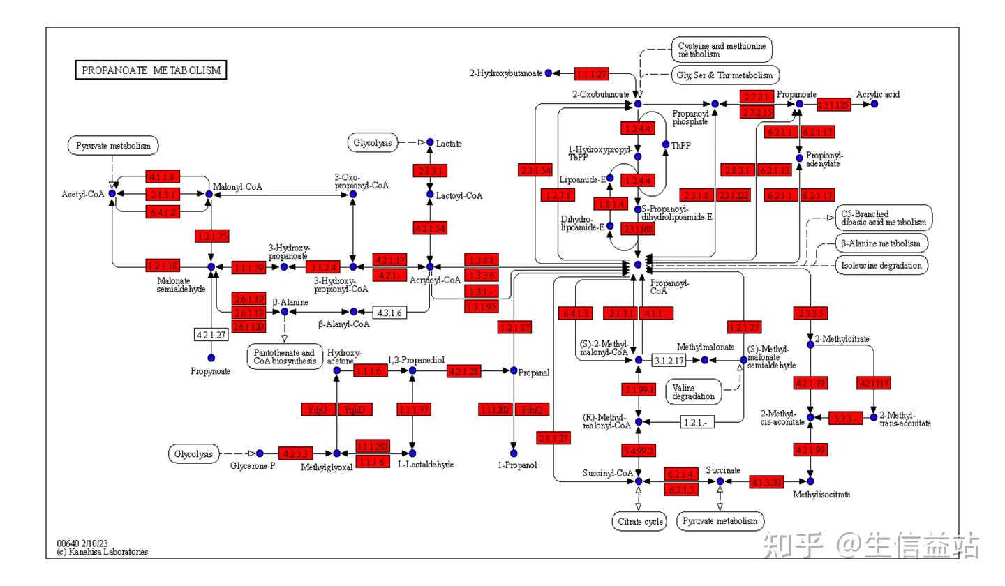 玩转KEGG (三)——遥遥领先pathview！ ggkegg可视化KEGG通路、模块与网络 - 知乎