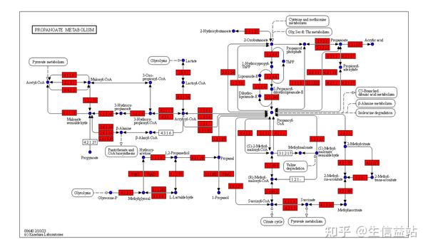 玩转KEGG (三)——遥遥领先pathview！ ggkegg可视化KEGG通路、模块与网络 - 知乎