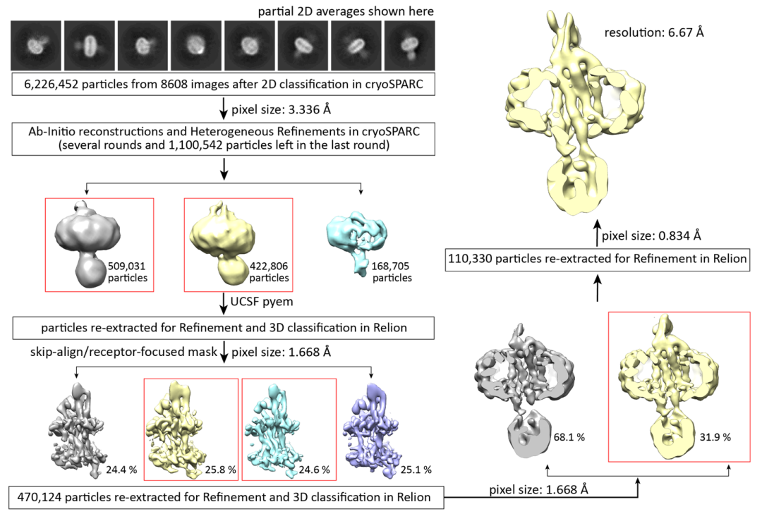 水木视界iss. 25 | 基于冷冻电镜的GPCR研究：融合蛋白策略 - 知乎