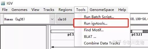 IGV和Adobe AI制作RIP-seq Peak图简易教程|m6A专题 - 知乎