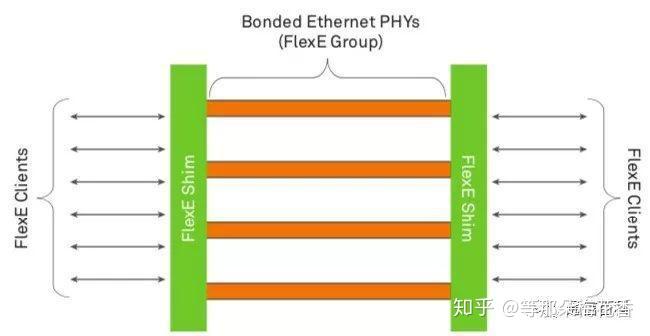 FlexE、FlexO与OTN - 知乎