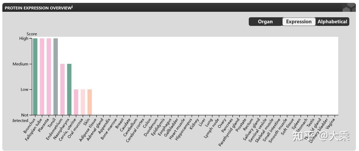 靶向间皮素（MSLN)靶点的CAR-T细胞治疗 - 知乎