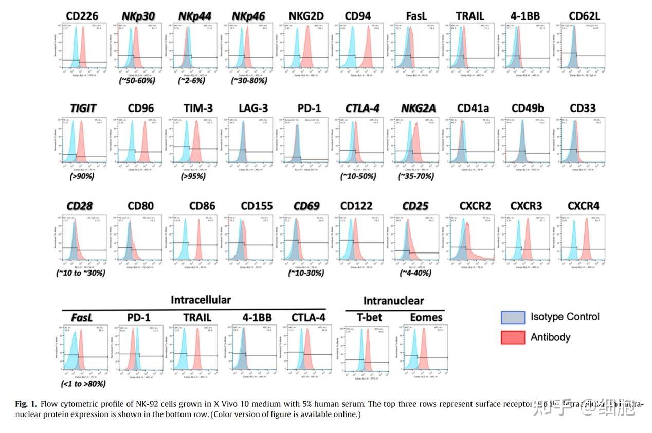 NK-92细胞系解读之一：NK-92的发现及特性 - 知乎
