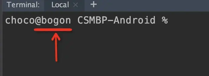 14.MacBook终端里神秘的 bogon 及解决方法 - 知乎