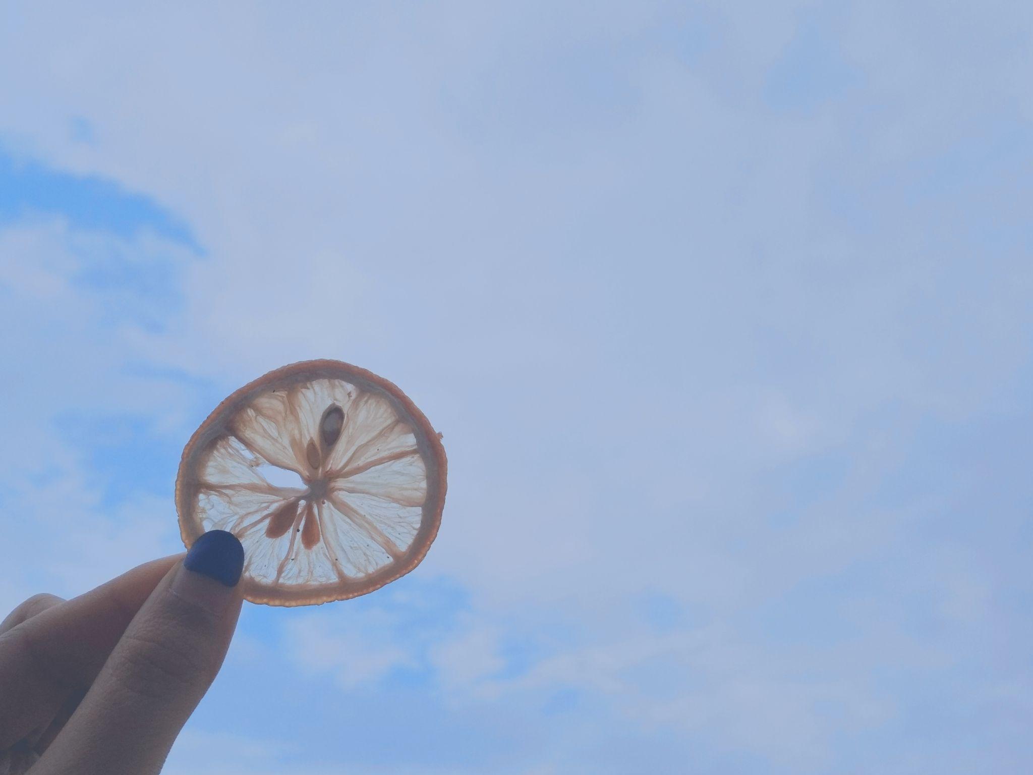 随记。 知乎