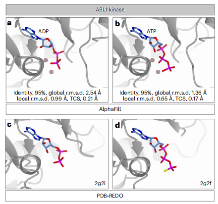 Nat Methods | AlphaFill：配体和辅助因子加强AlphaFold模型 - 知乎