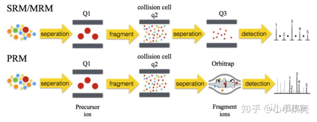 蛋白组学：PRM技术简介 - 知乎