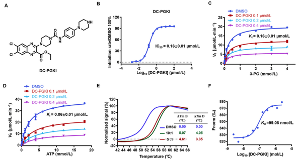药理学顶刊丨一种有效的 PGK1 拮抗剂表明 PGK1 调节 IL-1 β和 IL-6 的产生 - 知乎