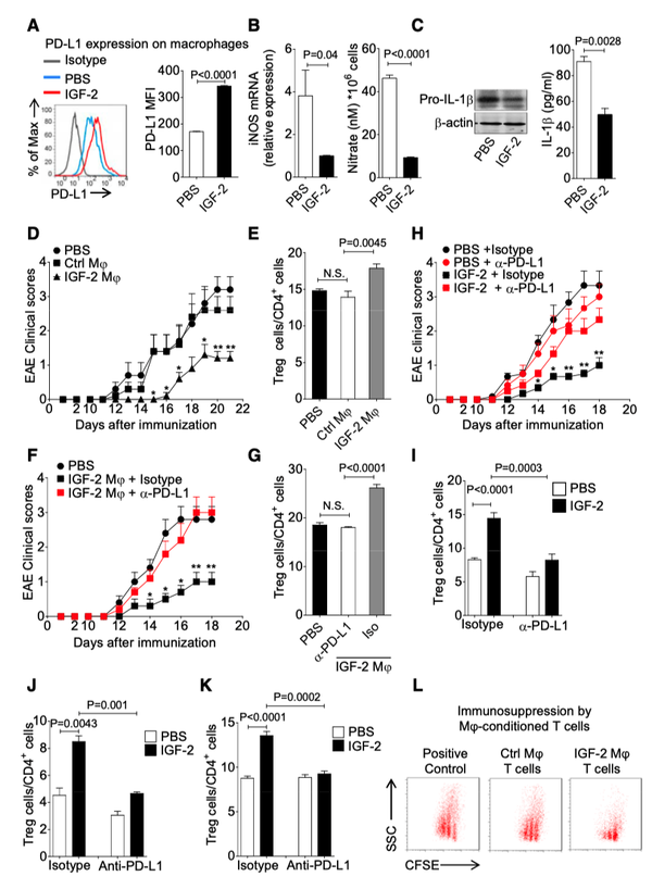 Immunity丨IGF-2处理使巨噬细胞代谢重编程从而发挥抗炎作用 - 知乎