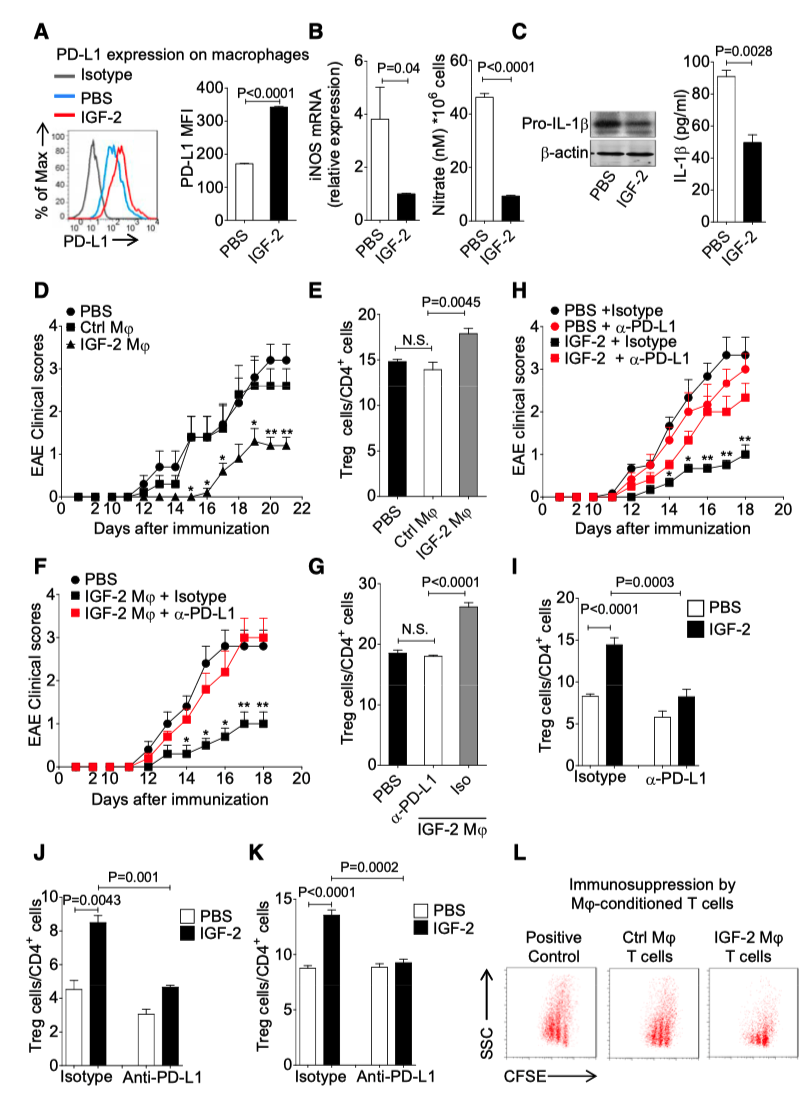 Immunity丨IGF-2处理使巨噬细胞代谢重编程从而发挥抗炎作用 - 知乎
