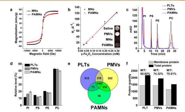 仿生磁性纳米载药原位生成NO治疗早期缺血性脑卒中 - 知乎
