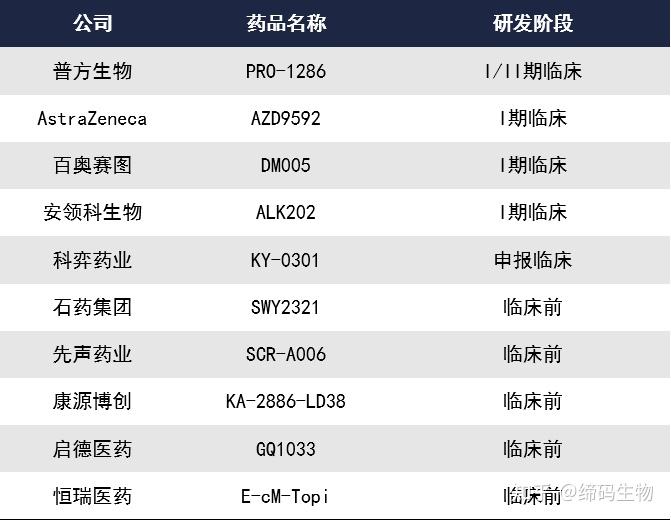 盘点|双抗ADC新赛道上的靶点 - 知乎