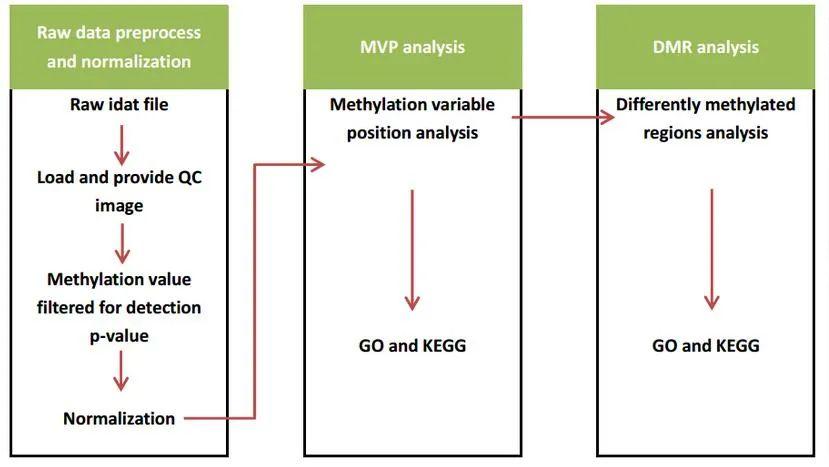 产品介绍|Illumina EPICv2.0-935K甲基化芯片 - 知乎