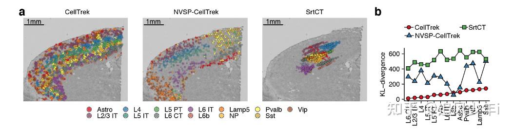 10X单细胞空间联合分析之十一（CellTrek） - 知乎