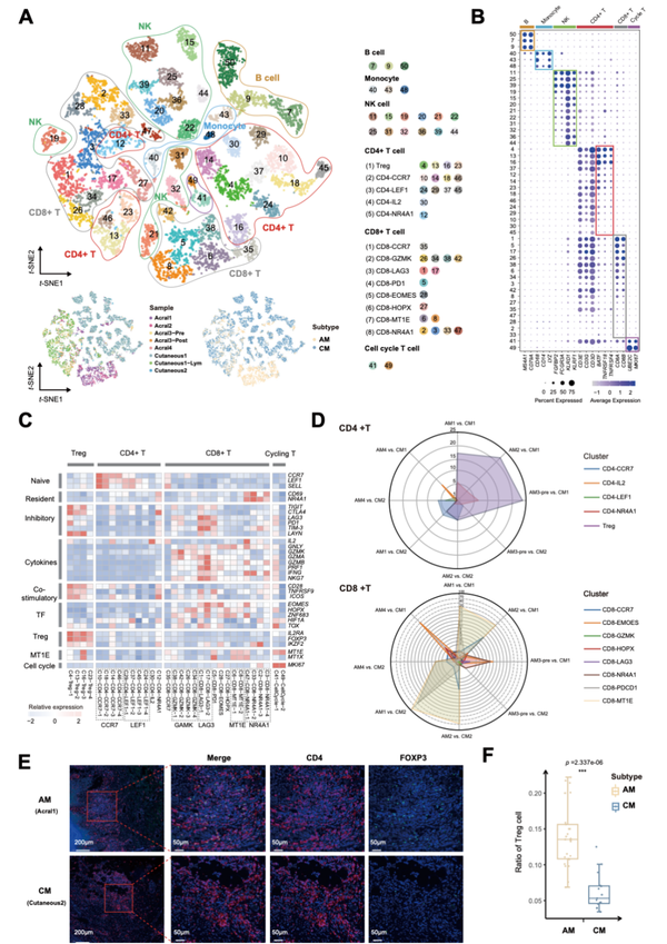 Nat Commun｜天津医科大学杨吉龙团队应用单细胞转录组分析揭示肢端型黑色素瘤肿瘤细胞异质性和免疫环境特征 - 知乎