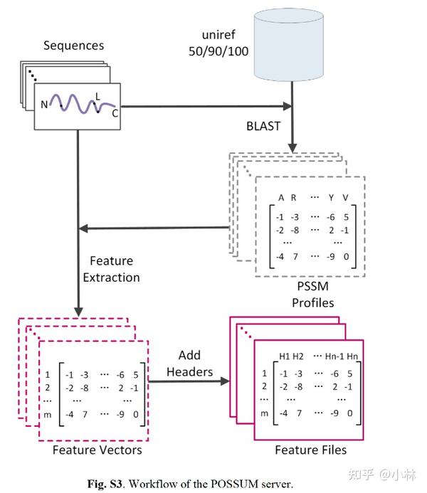 POSSUM:一个生物信息学工具包，用于生成基于PSSM配置文件的数字序列特征描述符 - 知乎