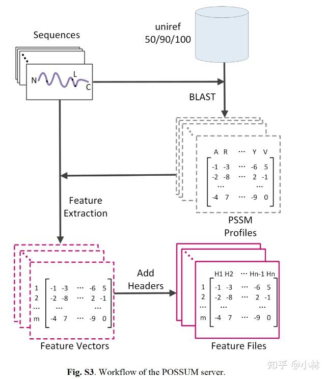 POSSUM:一个生物信息学工具包，用于生成基于PSSM配置文件的数字序列特征描述符 - 知乎