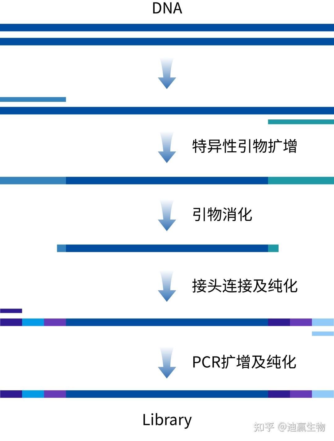 探针捕获法tNGS病原检测 - 知乎