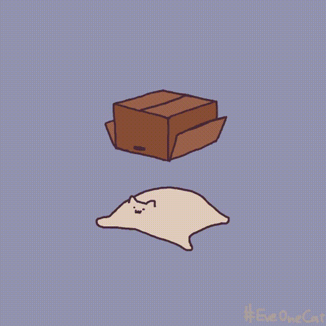 魔性猫猫everyday one cat 表情包 - 知乎