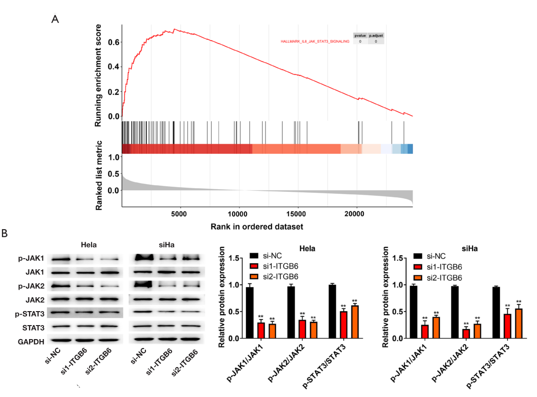 文献精读{分子+通路}：1表达差异 - 知乎