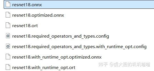使用ONNX Runtime ORT格式加速推理 - 知乎
