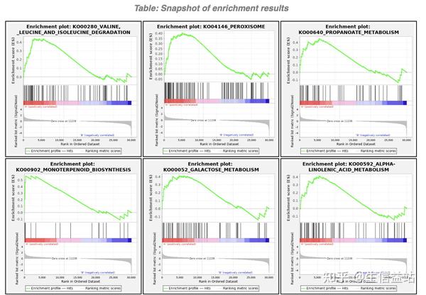 GSEA第2弹！如何解读GSEA富集结果 - 知乎