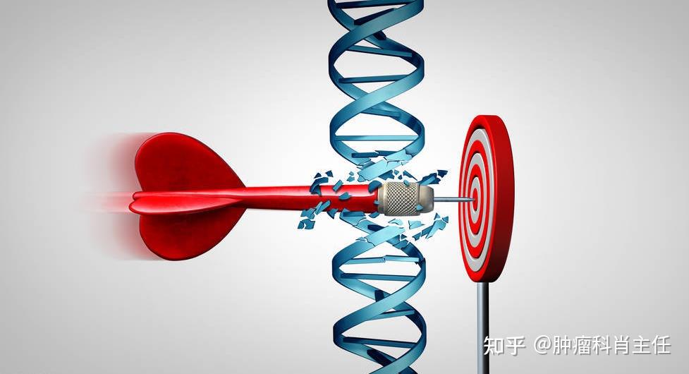 化疗和靶向治疗本质的区别是什么？哪些肿瘤更适合靶向治疗？ - 知乎