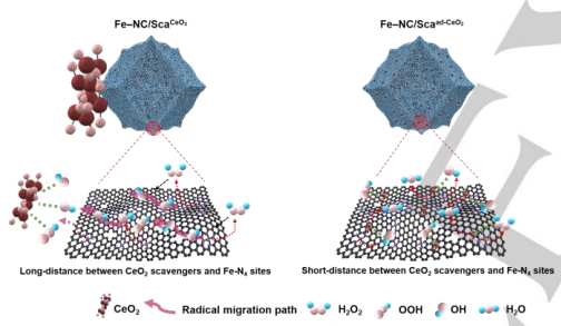 厦大孙世刚团队Angew.：CeO2纳米颗粒-自由基清除剂！ - 知乎
