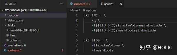 OpenFOAM在VS Code下的debug模式调试 - 知乎