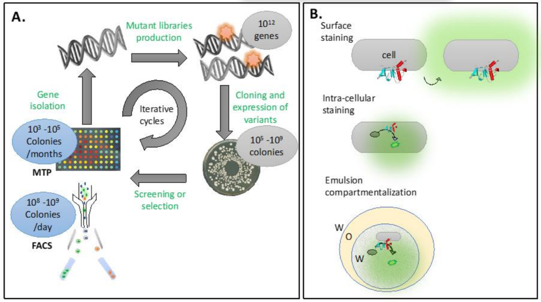 流式细胞术9大应用 - 知乎
