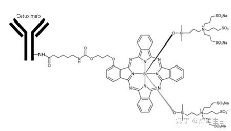 抗体偶联药物（ADC）系列（十二） - 知乎