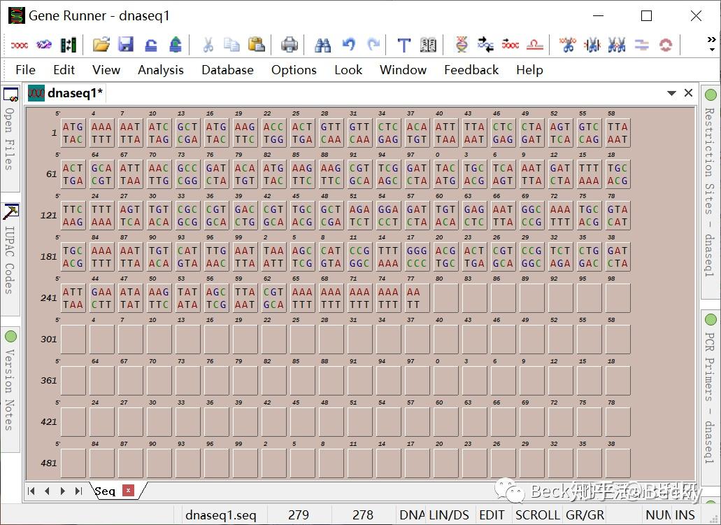 核苷酸序列翻译成氨基酸序列-GeneRunner - 知乎