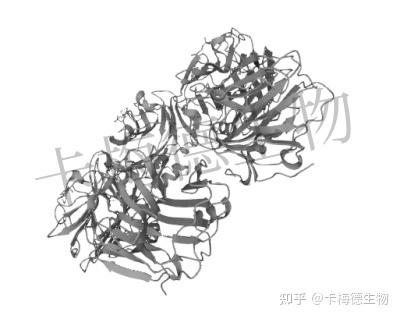 C反应蛋白（CRP）介绍 - 知乎