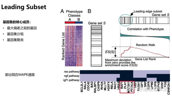 GSEA论文讲解（Gene set enrichment analysis） - 知乎
