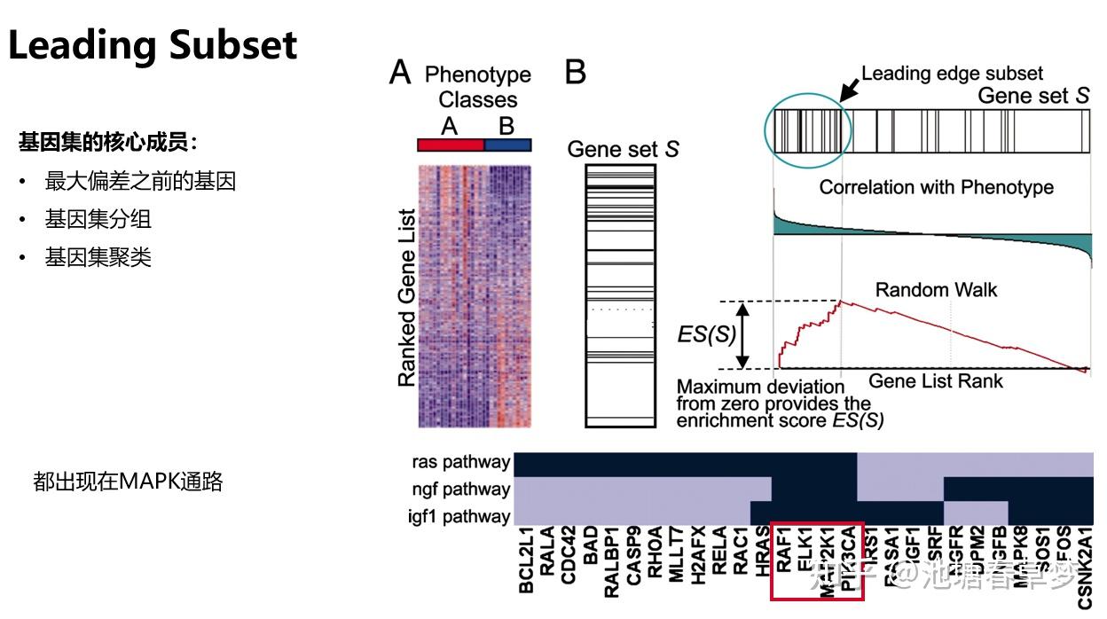 GSEA论文讲解（Gene set enrichment analysis） - 知乎