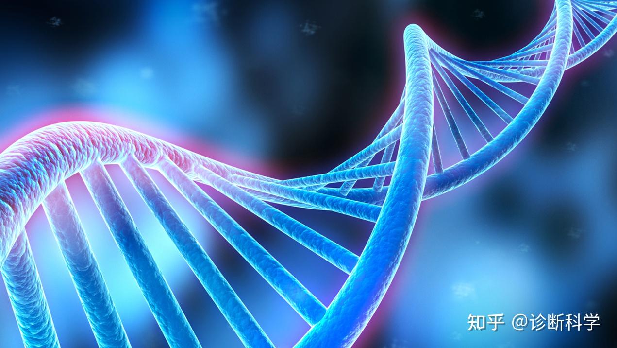 分子 | ROX染料在RT-PCR中的作用 - 知乎