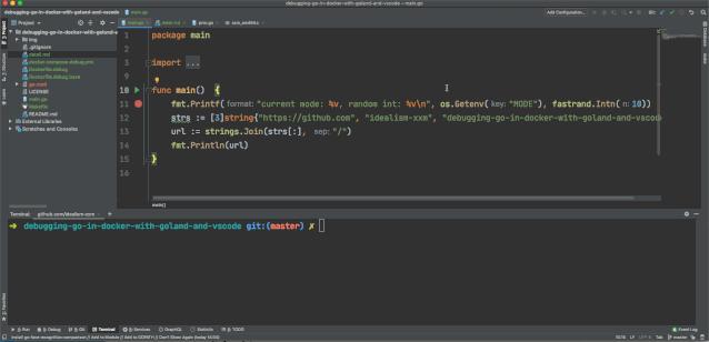 用 GoLand/VSCode 调试 Docker 内的 Go 应用 - 知乎